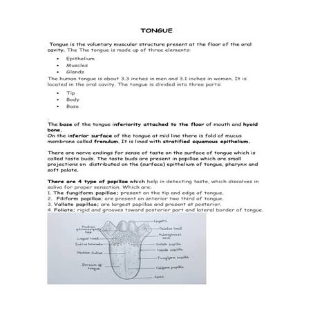 tongue notes for digestive system b.sc N | PDF