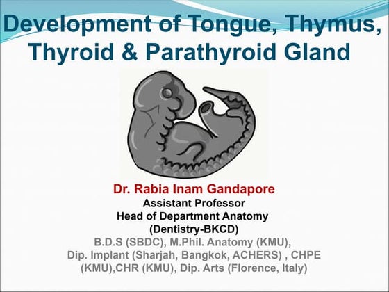 Development of Thyroid Gland (Special Embryology) | PPS