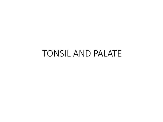Small and Large Intestines.pptx along with the blood supply | PPT