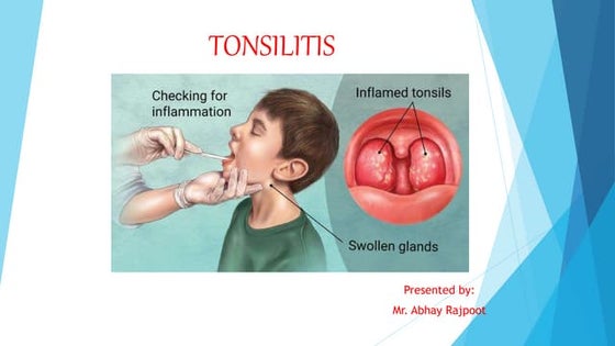 Anatomy and physiology tonsils | PPT