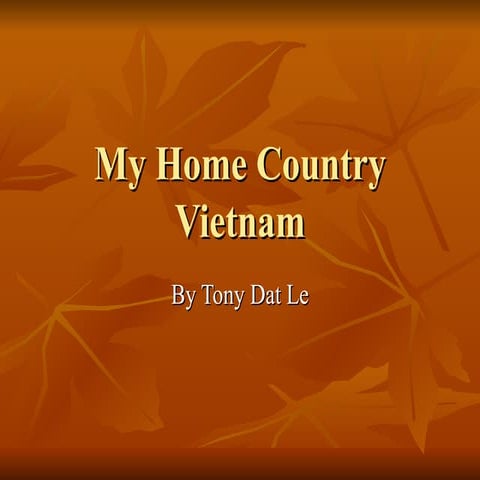 Tony dat le my home country viet nam | PPT