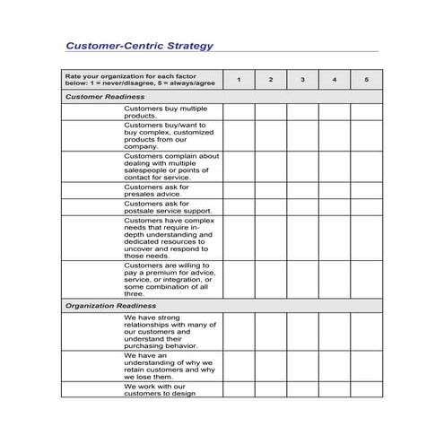 Tool 01 customer-centric_strategy | PDF