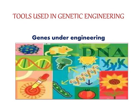 1. Study of cloning vectors, restriction endonucleases and DNA ligase.pptx