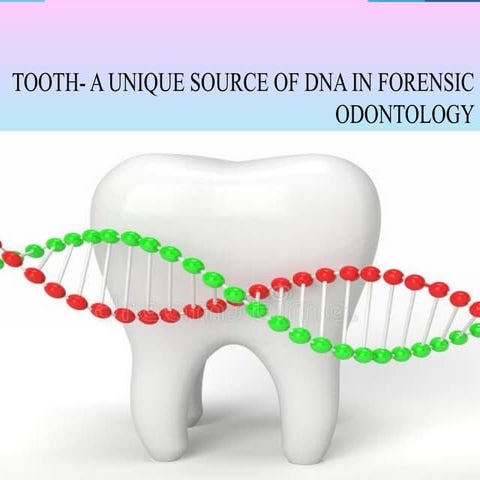 TOOTH- A UNIQUE SOURCE OF DNA IN FORENSIC ODONTOLOGY.pptx