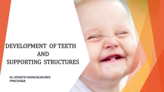 Development of tooth- Introduction and Histology | PPTX | Dental Health | Diseases and Conditions