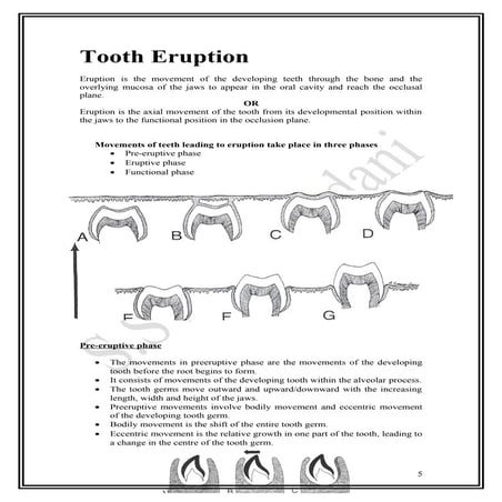 Tooth eruption | DOC
