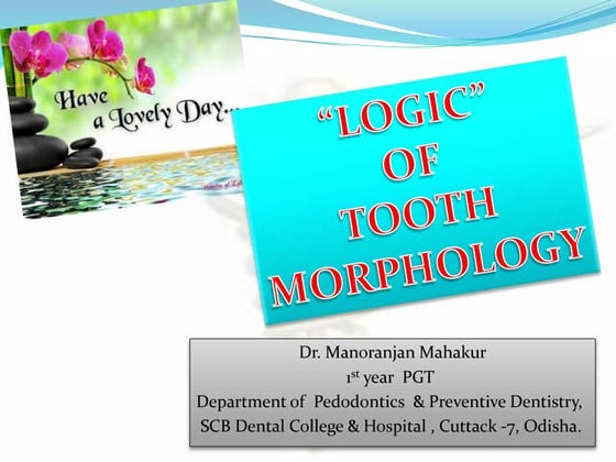 Trait categories helpful in describing tooth differences | PPTX