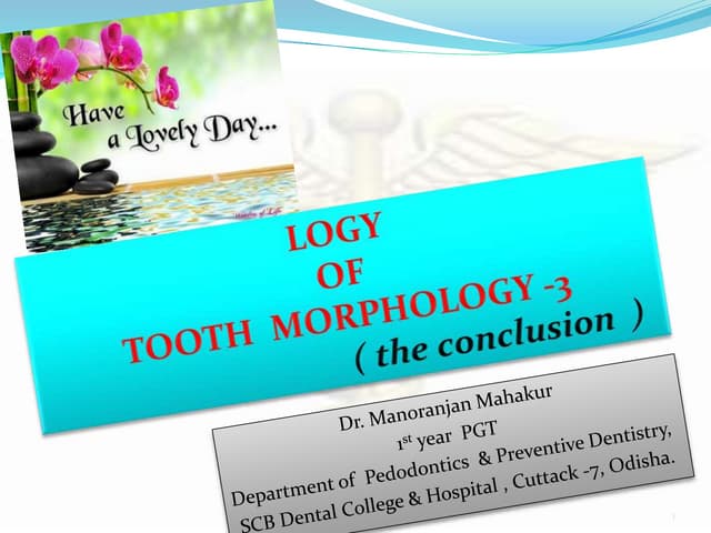 Maxillary second molar | PPTX