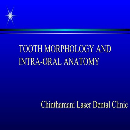 Tooth morphology and Intra oral anatomy | PPT