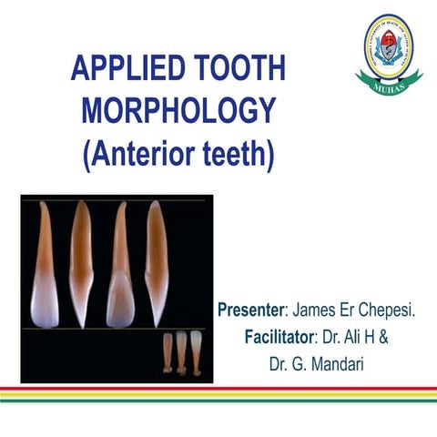 Tooth Morphology Anterior teeth Chepesi.pptx