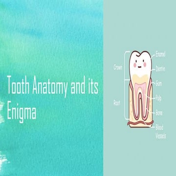 toothn problems and its solution.ppvery good slidetx | PPT
