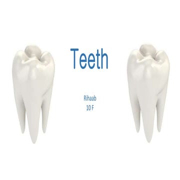 TEETH | PPT