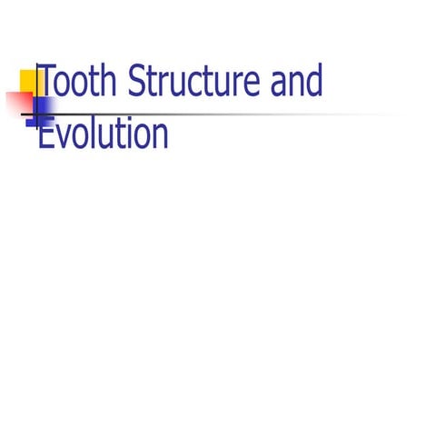 Tooth Structure and Evolution.ppt