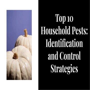 Top-10-household-pests-identification-and-control-strategies.pdf