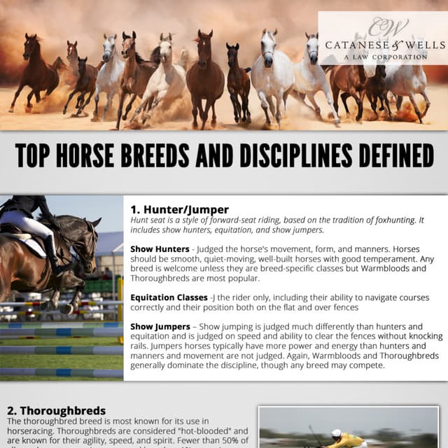 Top Horse Breeds and Disciplines Defined | PDF