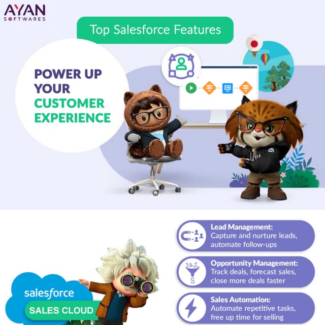 Top Salesforce Features: Power Up Your Customer Experience | PDF