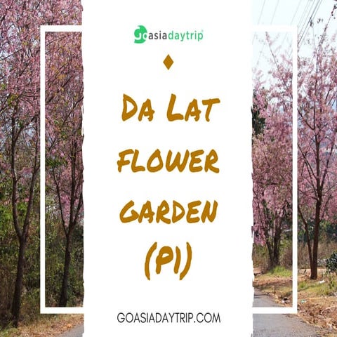Top 10 beautiful flower gardens in Da Lat (P1) | PDF