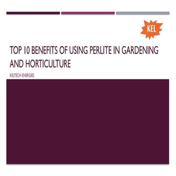 Top 10 Benefits of Using Perlite in Gardening.pptx