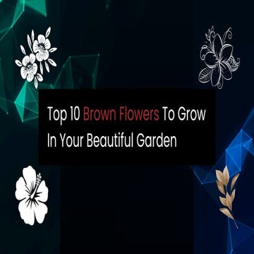 Top 10 Brown Flowers To Grow In Your Beautiful Garden.pdf