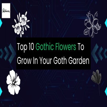 Top 10 Gothic Flowers To Grow In Your Goth Garden.pdf