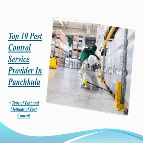 Top 10 pest control service provider in panchkula | PPT