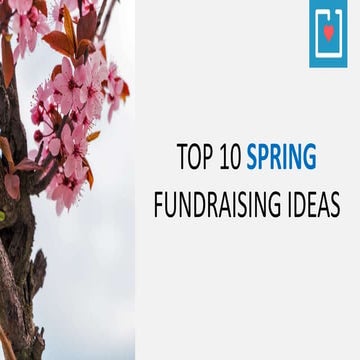 Top 10 spring fundraising ideas | PPTX
