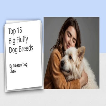 Top 15 Big Fluffy Dog Breeds To Snuggle.pptx | Dogs | Pets