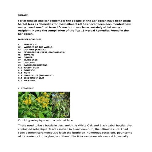 TOP 15 HERBAL REMEDIES OF THE CARIBEAN (2).pdf