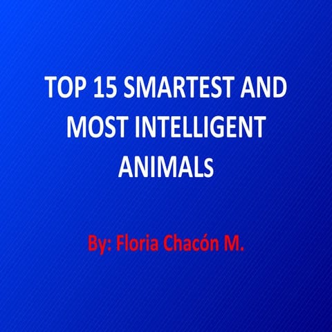 Top 15 smartest and most intelligent animals | PPT