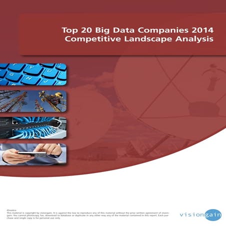 Top 20 Big Data Companies 2014 | PDF