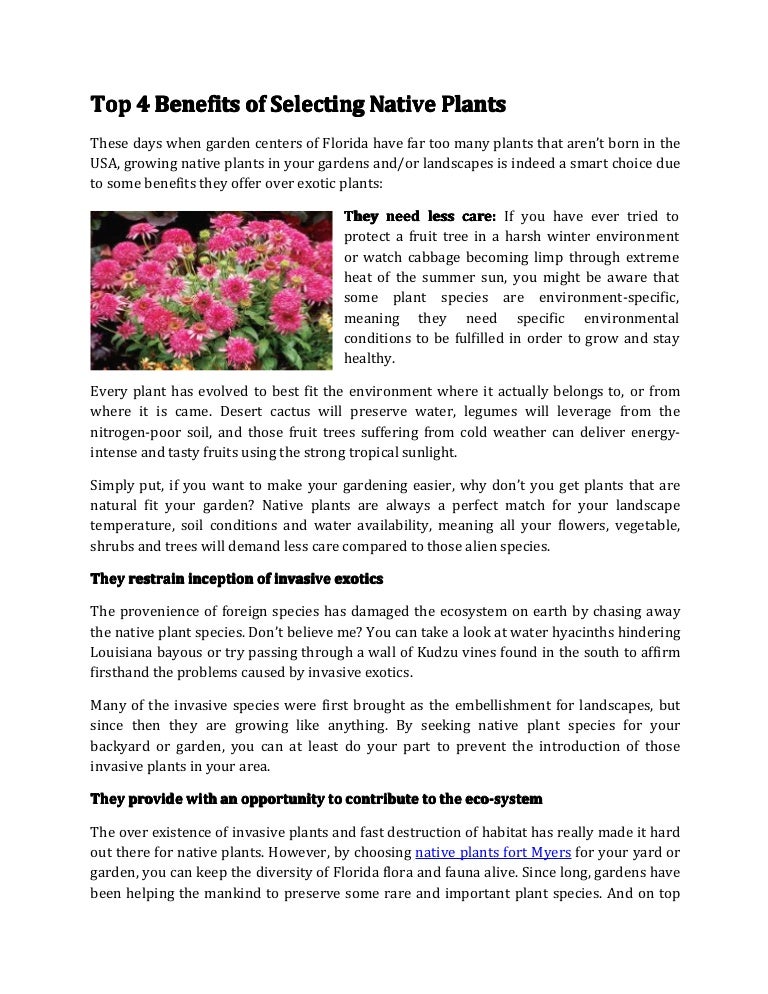 Top 4 benefits of selecting native plants