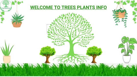 Top benefits of planting a tree in India 1.pdf