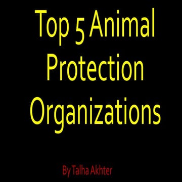 Top 5 animal protection organizations | PPTX | Non-Profit Organizations ...