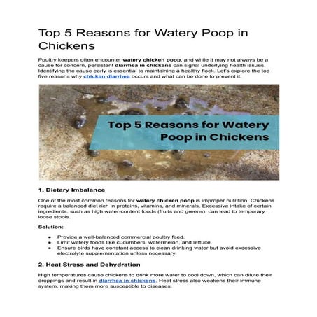 Top 5 Reasons for Watery Poop in Chickens | PDF