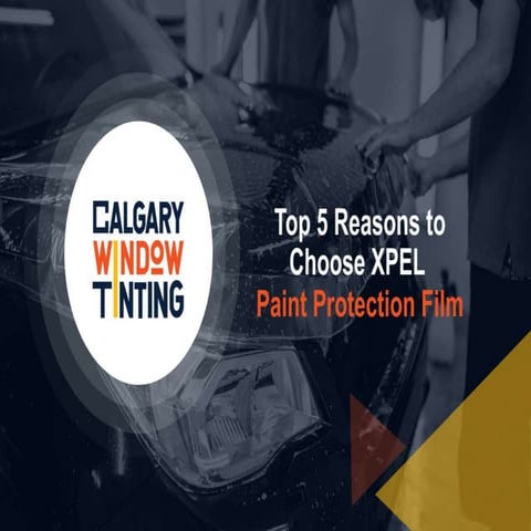 Top 5 Reasons to Choose XPEL Paint Protection Film.pptx