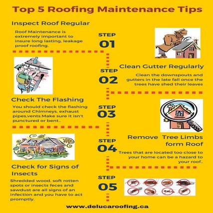 Top 5 Roofing Maintenance Tips | PDF