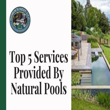 Top 5 Services Provided By Natural Pools.pdf