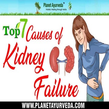 Top 7 Causes of Kidney Failure ( Renal Failure ) | PPT