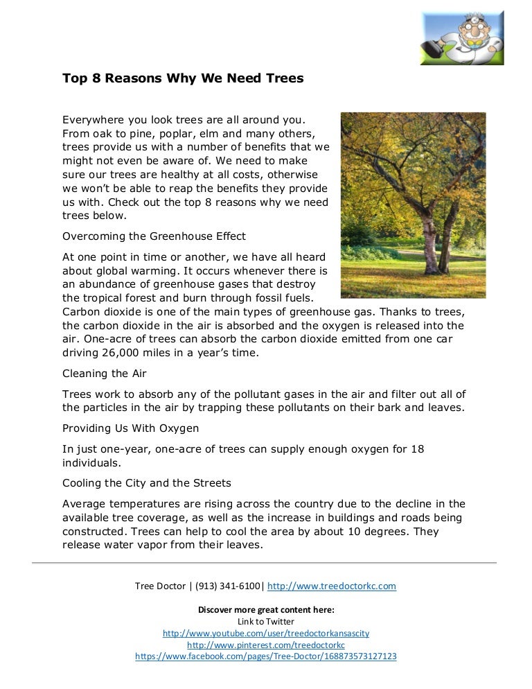 Top 8 Reasons Why We Need Trees top-8-reasons-why-we-need-trees