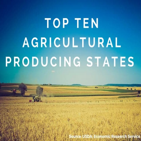 Top Ten Agricultural Producing States | PDF