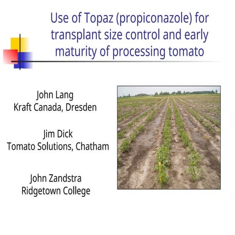 USO DEL FUNGICIDA TOPAZ PARA EL CONTROL DEL TAMAÑO DE LOS PLANTINES | PPT