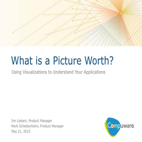 What is a Picture Worth? Using Visualizations to Understand Your ...