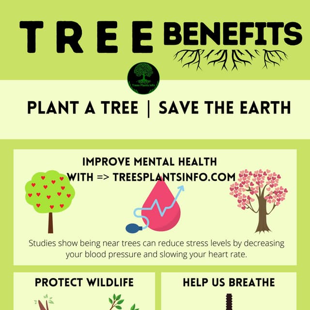 Top benefits of planting a tree in India 1.pdf