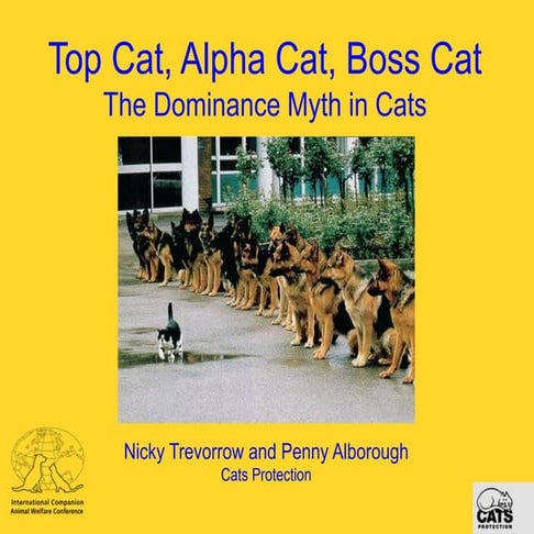 ICAWC 2013 - Top Cat, Alpha Cat, Boss Cat - Nicky Trevorrow & Penny ...