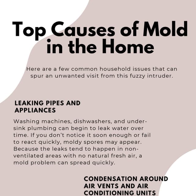Top Causes of Mold in the Home.pdf