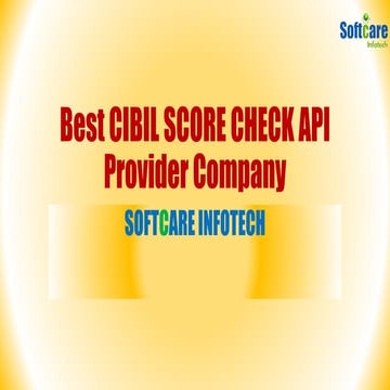 Top Cibil Score Check API Service Provider.pptx