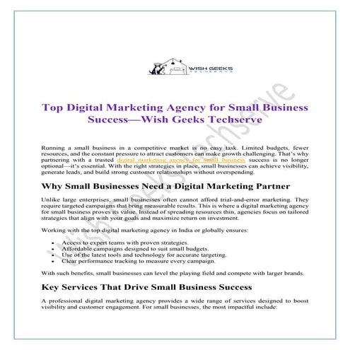 Top Digital Marketing Agency for Small Business Success—Wish Geeks Techserve | PDF