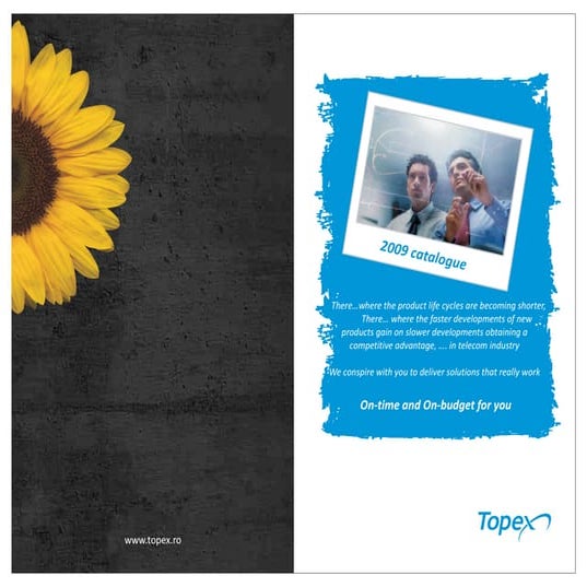 Topex Catalog | PDF