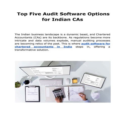Top Five Audit Software Options for Indian CAs | PDF