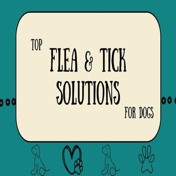 Top Flea & Tick Solutions for Dogs: Your 2024 Handy Guide | PPT